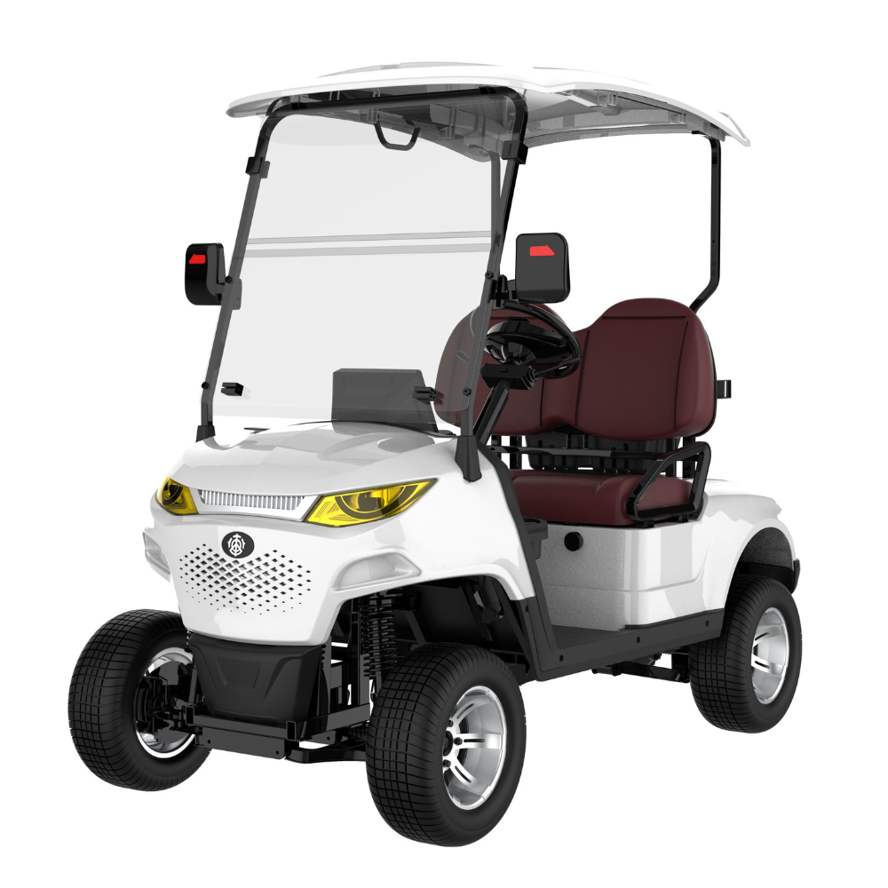 2-Seater Golf Cart – GCC Motor