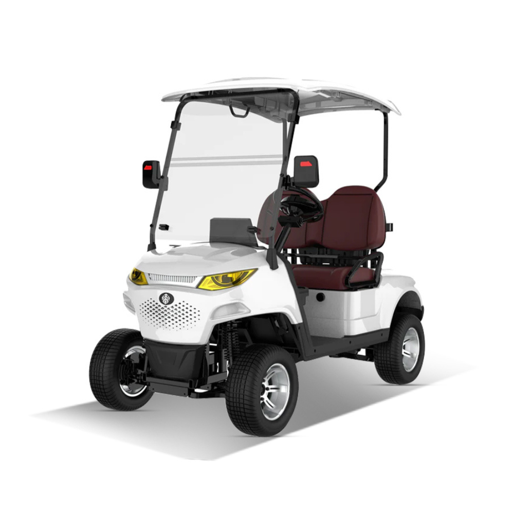 MXV2+0 Premium Electric Golf Cart – GCC Motor
