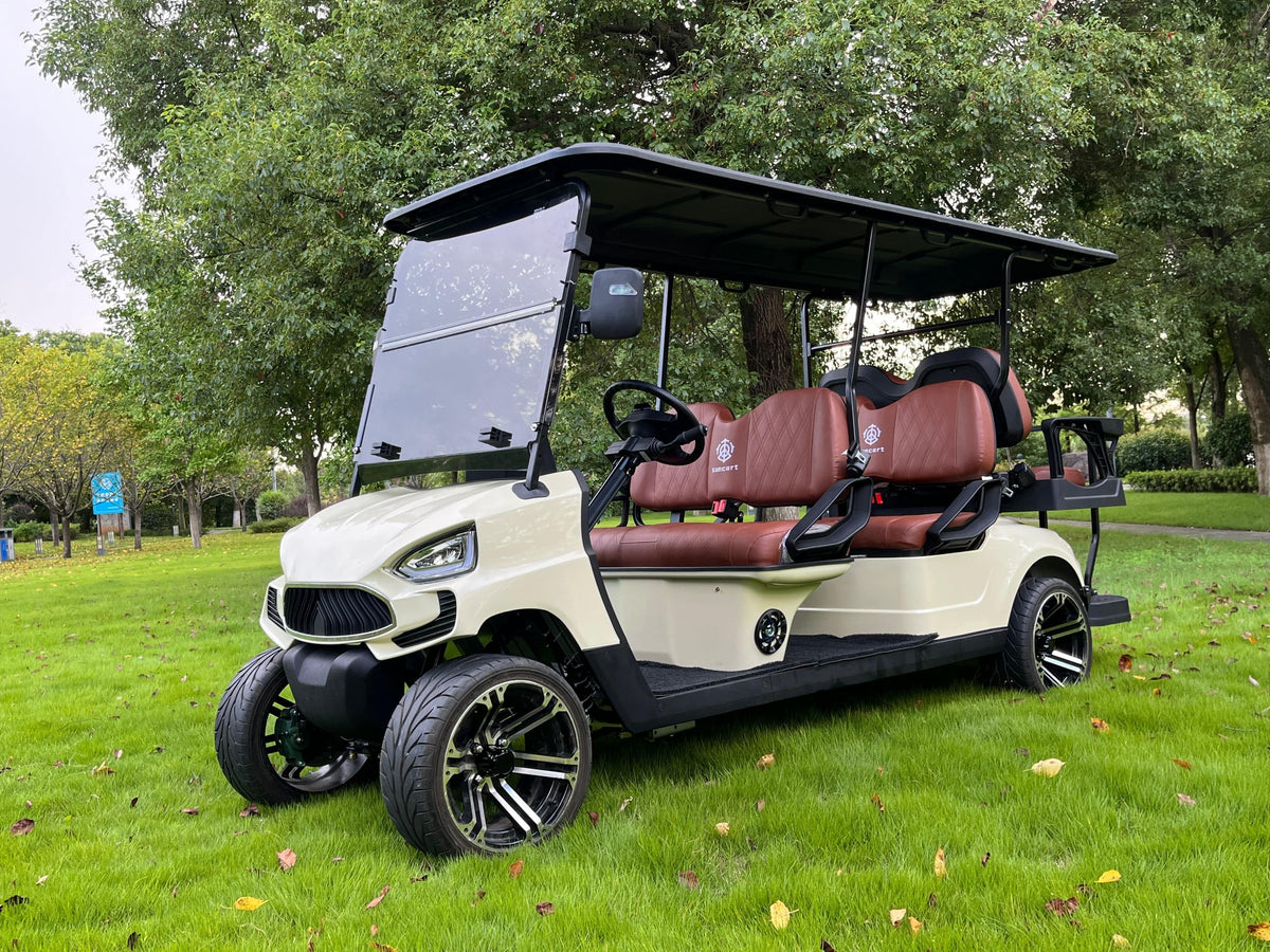 TXV4+2 A Durable 48V, Adult 6 Seater Buggy Adventures – GCC Motor
